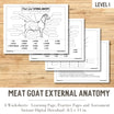 PRINTABLE Meat Goat External Anatomy - Level 1 – Sunrise Art & Design