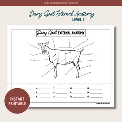 PRINTABLE Dairy Goat External Anatomy - Level 1 – Sunrise Art & Design
