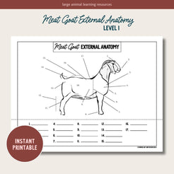 PRINTABLE Meat Goat External Anatomy - Level 1 – Sunrise Art & Design