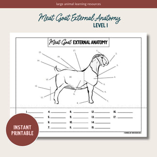 PRINTABLE Meat Goat External Anatomy - Level 1 – Sunrise Art & Design