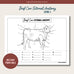 PRINTABLE Beef Cow External Anatomy - Level 1 – Sunrise Art & Design